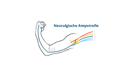 Neuralgic Amyotrophy by Sannemarije van Waes on Prezi