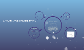 The issue of animal overpopulation affects my community in t by J S on ...