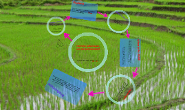 Intensive Subsistence, wet rice not dominant. by Ryan Schneider on Prezi