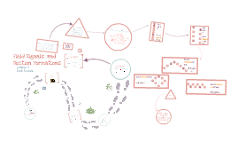 CCF Fieldcraft- Field Signals and Section Formations by Josh James on Prezi