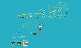 Biodiversity of Life- Mind Map by alex persaud on Prezi