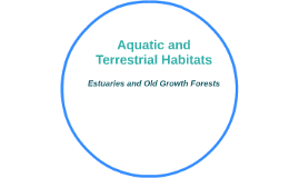 Aquatic and Terrestrial Habitats by Karin Davey on Prezi