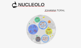 NUCLEOLO by Johanna Toral on Prezi