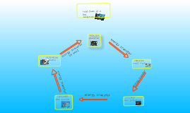 FOOD CHAIN of a BOX JELLYFISH by alyssa bogdan on Prezi