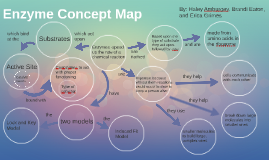 Enzyme Concept Map by Haley Amburgey on Prezi