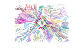 Simple Symbol Personality Test by Firmansyah Kusasi on Prezi