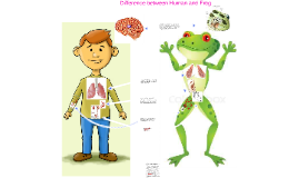 Difference between Human and Frog by Christian Suarez on Prezi