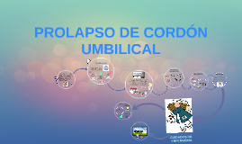 PROLAPSO DE CORDÓN UMBILICAL by Lina Marcela Correa M on Prezi