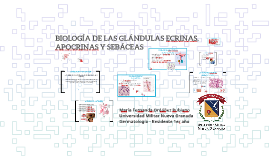 BIOLOGÍA DE LAS GLÁNDULAS ECRINAS, APOCRINAS Y SEBÁCEAS by Maria ...