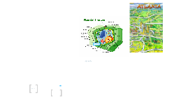 A Plant Cell is Like a City by Mike Miller on Prezi