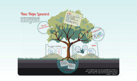 NHL Organization Structure by Kristina Acidera on Prezi