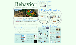 Mini-Poster Template by Jessica Gregerson on Prezi