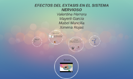 EFECTOS DEL EXTASIS EN EL SISTEMA NERVIOSO by valentina herrera on Prezi