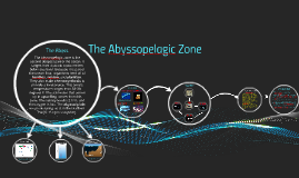 The Abyssopelagic Zone by Carolyne Shofner on Prezi