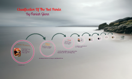 Classification of The Red Panda by Faniah G. on Prezi