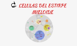 CELULAS DEL ESTIRPE MIELOIDE by Gisselle Ch. on Prezi