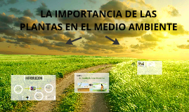 LA IMPORTANCIA DE LAS PLANTAS EN EL MEDIO AMBIENTE by stefany calderon ...