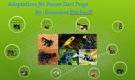 Adaptations for Poison Dart Frogs by genevieve stockwell on Prezi