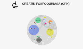CREATIN FOSFOQUINASA (CPK) by Andrea Pellitero on Prezi