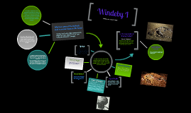 Windeby 1 - Bog Body by Dayna Anderson on Prezi