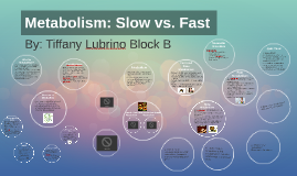 Metabolism: Slow vs. Fast by Tiffany Lubrino on Prezi