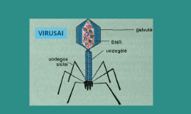 Virusai by Beatričė Aukštuolytė on Prezi