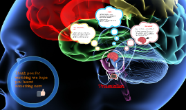 Voluntary and Involuntary Reactions by adeeb ali on Prezi