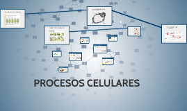 PROCESOS CELULARES by yasinded baeza reyes on Prezi