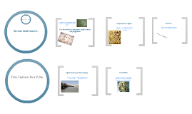 ~Comparing the Nile River Valley to Tigris Euphrates River Valley~ by ...