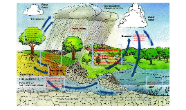Drainage Basin Hydrological Cycle by Scott Leadbetter on Prezi
