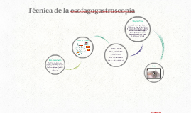 - Técnica de la esofagogastroscopia (cómo se hace). by SAMANTA ORTIN ...