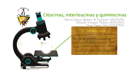 Citocinas, interleucinas y quimiocinas by Sharon Zayuri Zenteno de los ...