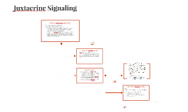 Juxtacrine Signaling by Caroline Henry on Prezi