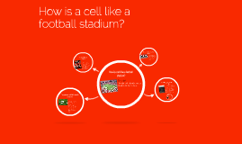 How a cell is like a football stadium by Greg Benfield on Prezi