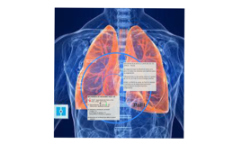 OXIGENACIÓN PULMONAR by Eliana Pulido on Prezi