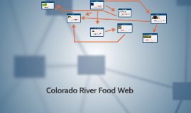 Colorado river food web by harmon bartenhagen on Prezi