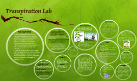 Transpiration Lab by jean ralph on Prezi