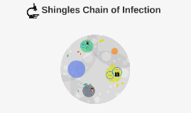 Shingles Chain of Infection by Caroline Crea on Prezi